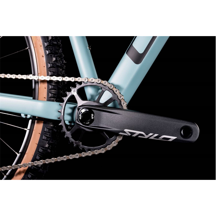 Cube Access Ws Sl 2022 Oldmint/bl | Mammoth