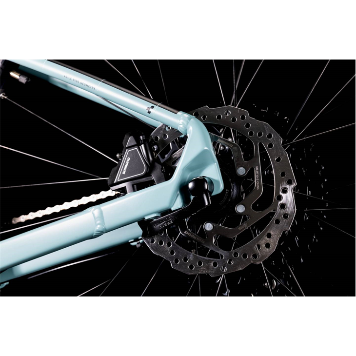 Cube Access Ws Sl 2022 Oldmint/bl | Mammoth