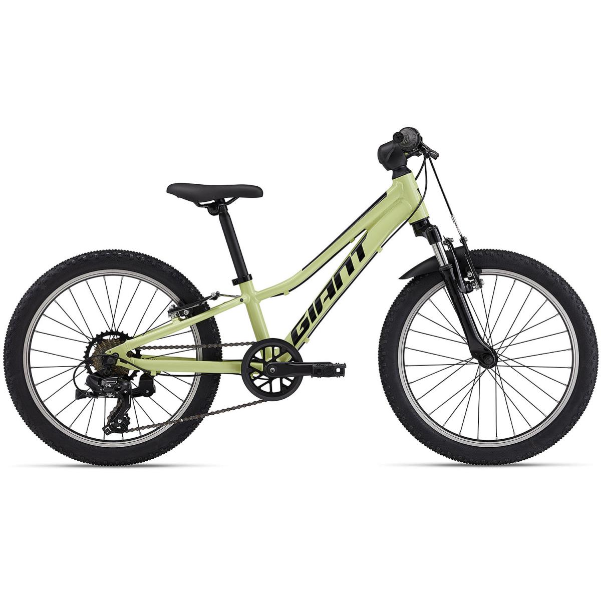 Giant Talon 20 2024 Mblanc | Mammoth