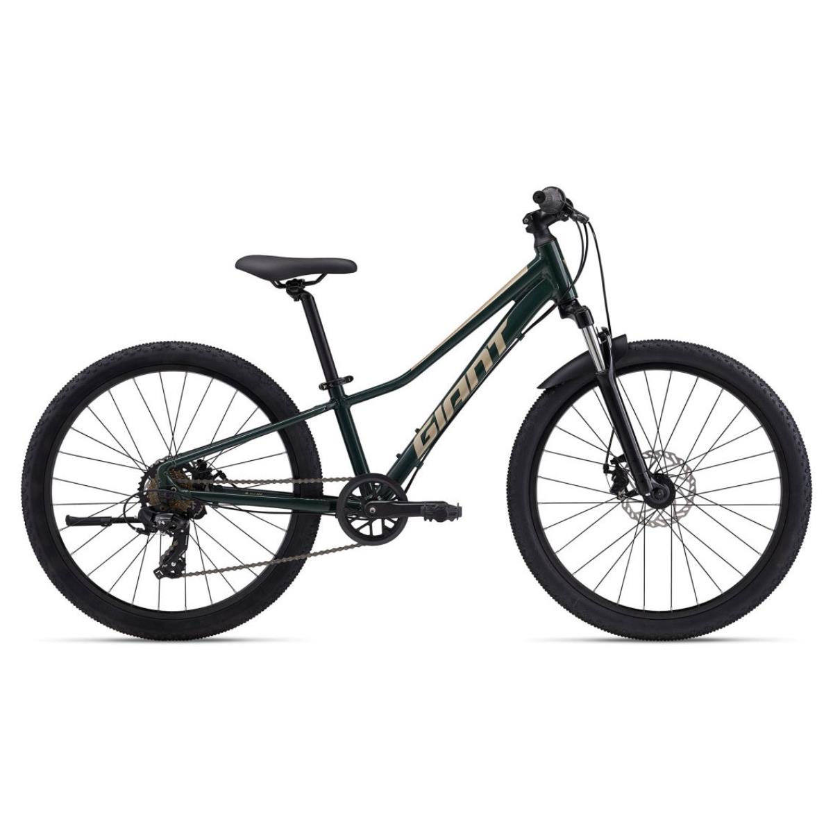 Giant Bike Talon 24 Disc 2024 Trek Green | Mammoth