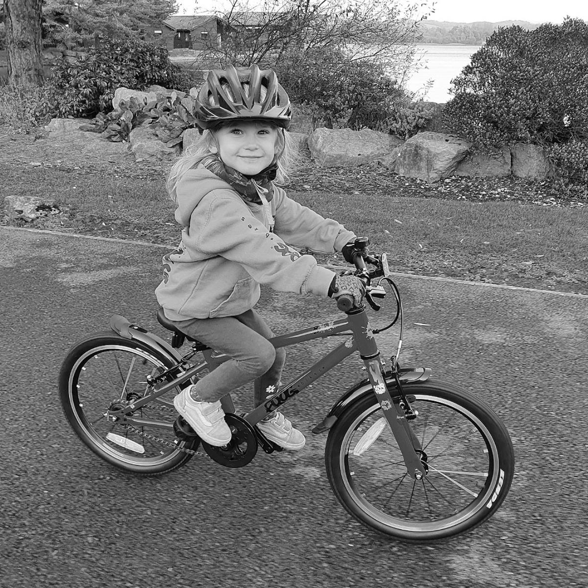 Fahrrad Frog Bikes Frog 47 2024 Green | Mammoth