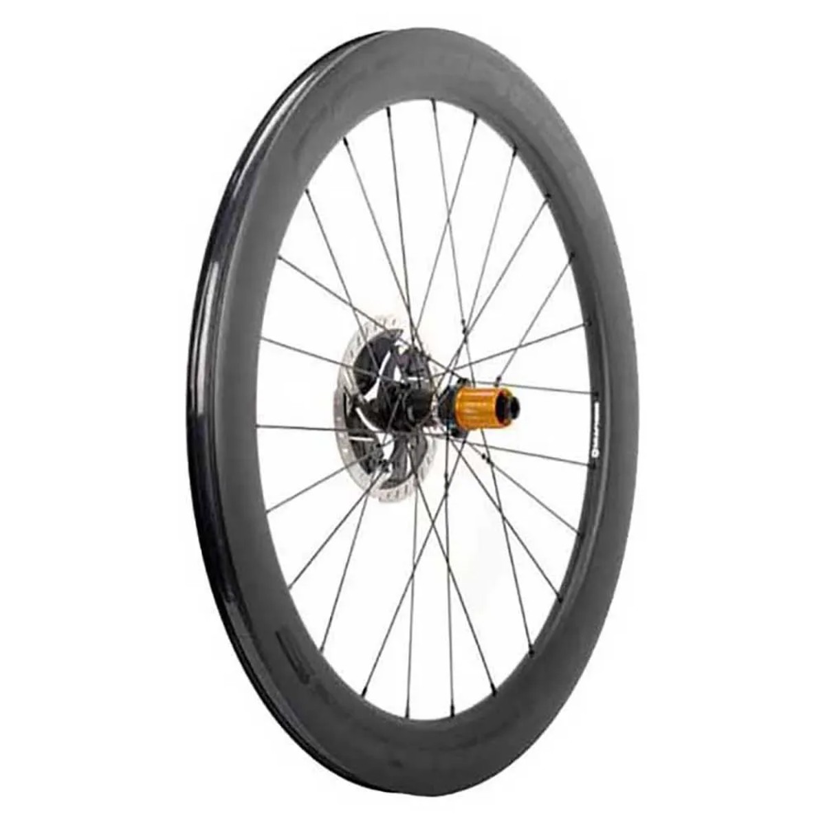 Rueda Trasera Progress Neon Disc Cub Black | Mammoth